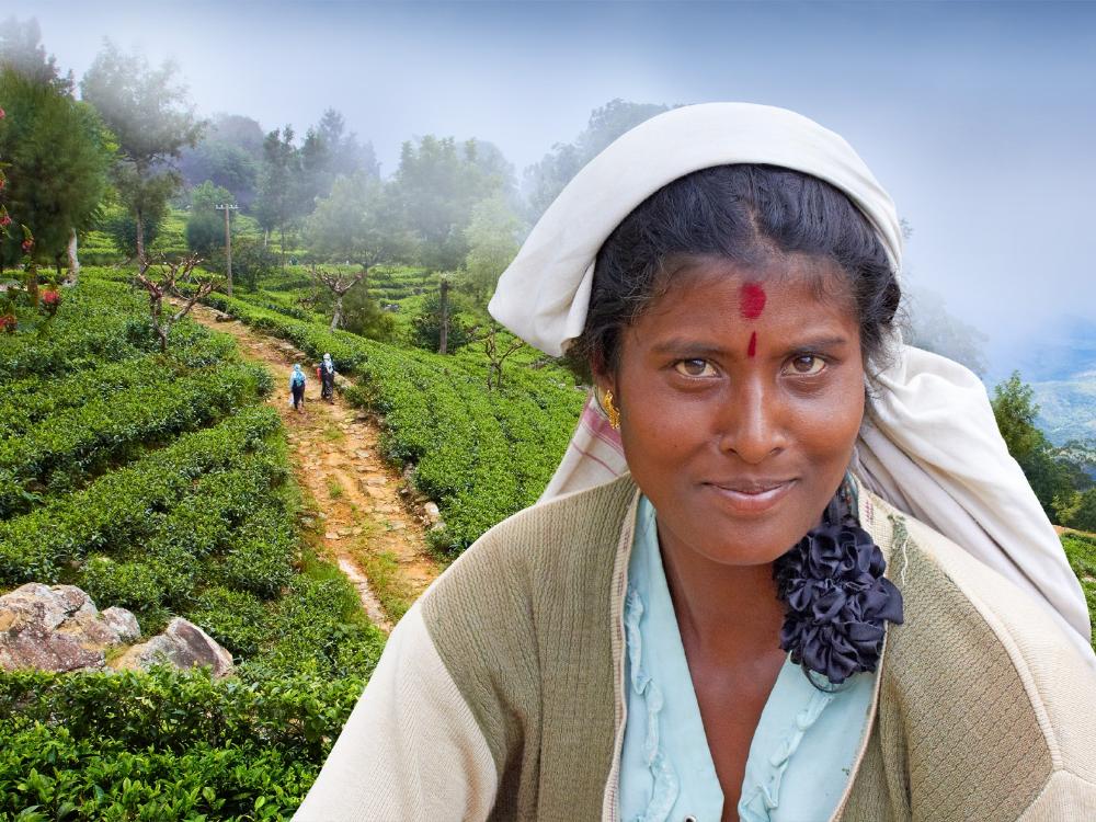 Martin Loew: Srí Lanka | Museum.skoda-auto.cz